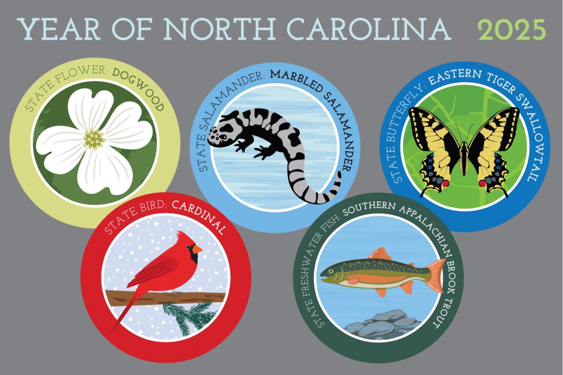 North Carolina State Parks